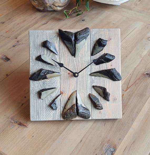 Megalodon Shark Tooth Wall Clock. - Etsy