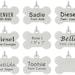 Double Sided Laser Etched Stainless Steel Pet ID Tag for Dog & - Etsy