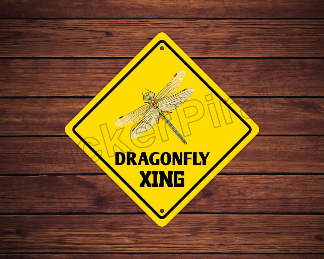 Dragonfly Crossing 12" X 12" Aluminum Novelty Sign - Etsy