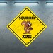 Squirrel Crossing 12" X 12" Aluminum Novelty Sign - Etsy