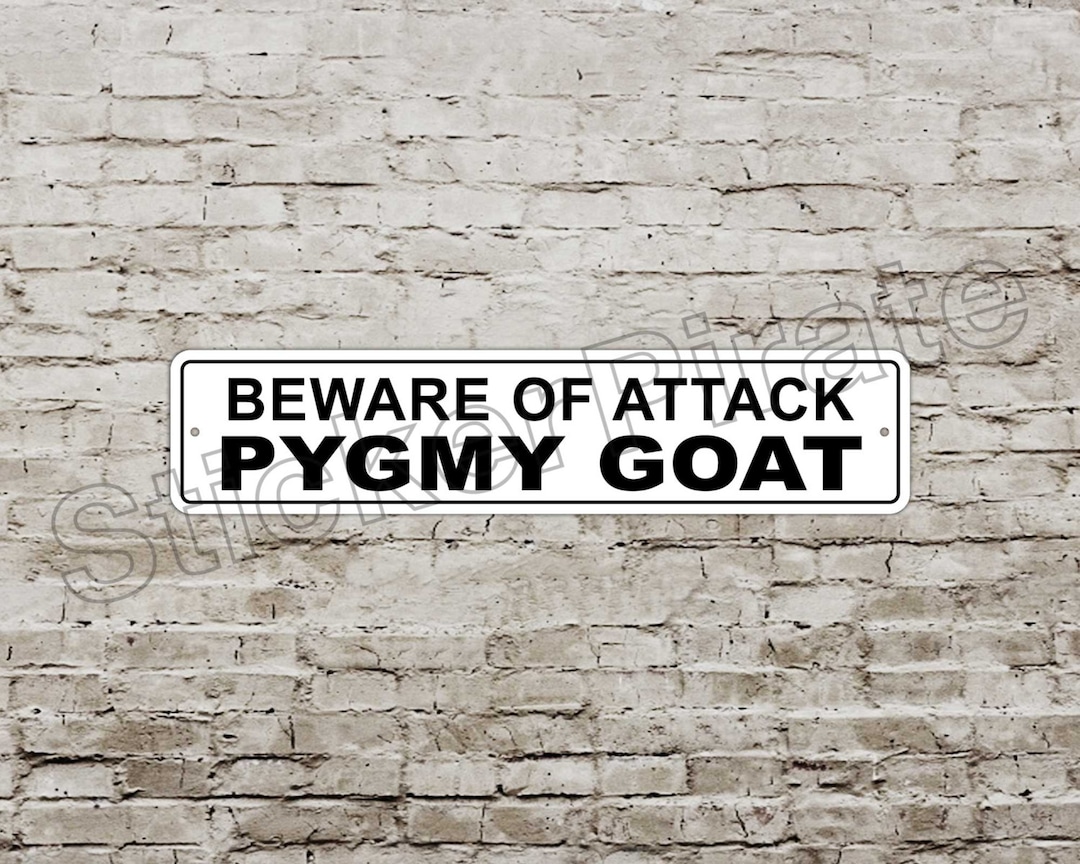 Beware of Attack Pygmy Goat 4 X 18 Aluminum - Etsy