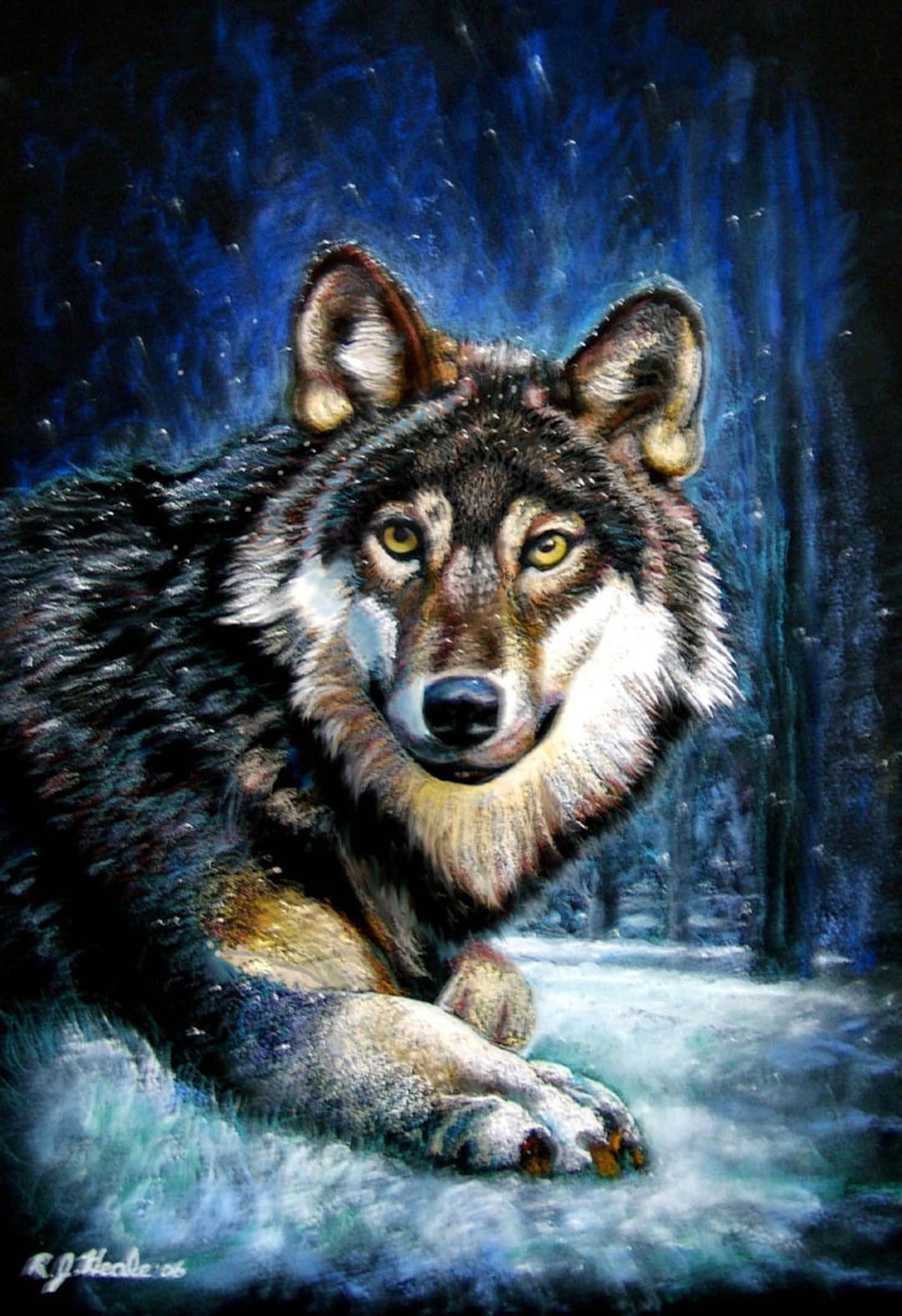 Grey Timber Wolf A4 Print - Etsy