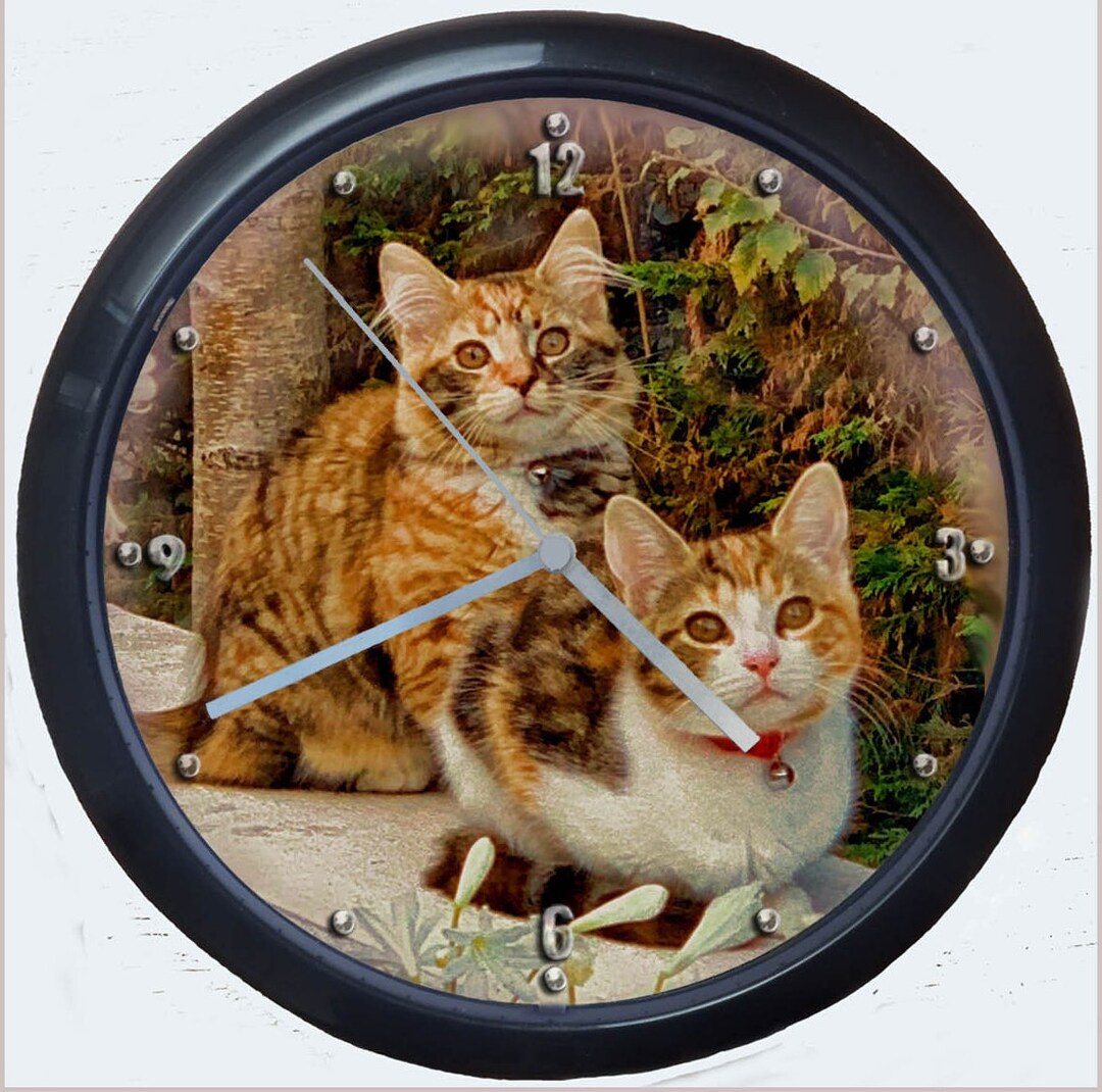 Domestic Cat Large 10inch Black Wall Clock - Etsy