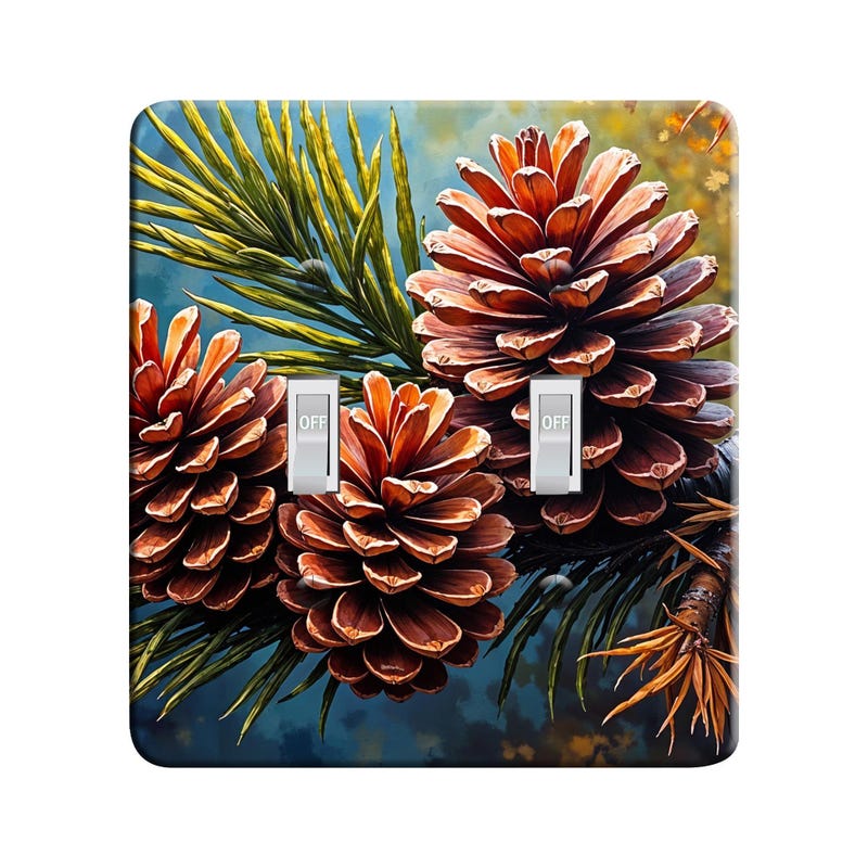 Glass Switch Plate - Etsy