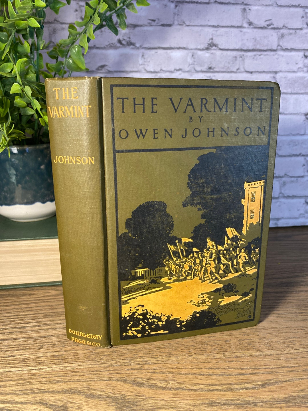 1920 the Varmint by Owen Johnson First Edition third Impression - Etsy