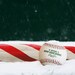 Merry League Baseball Gift. the Official Baseball of Christmas ...