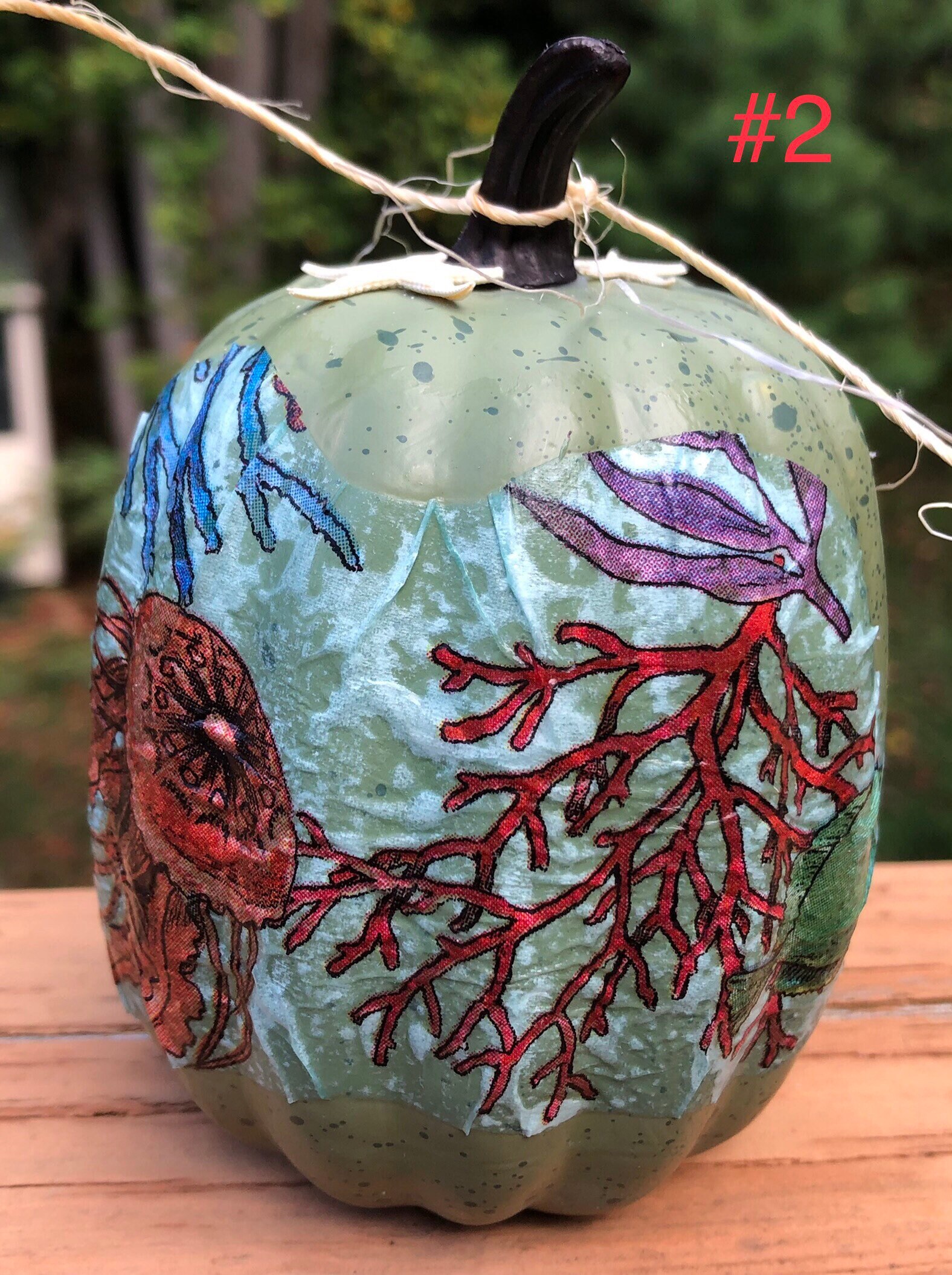 Mini Coastal Pumpkins Beach Decor Fall Coastal Farmhouse Cottage ...