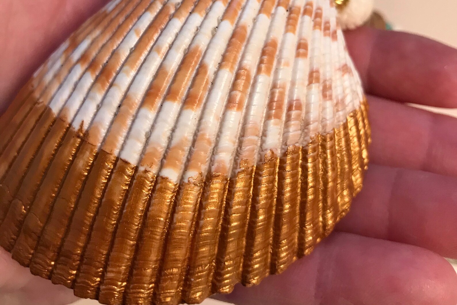 Gold Dipped Giant Atlantic cockle shell statement necklace | Etsy