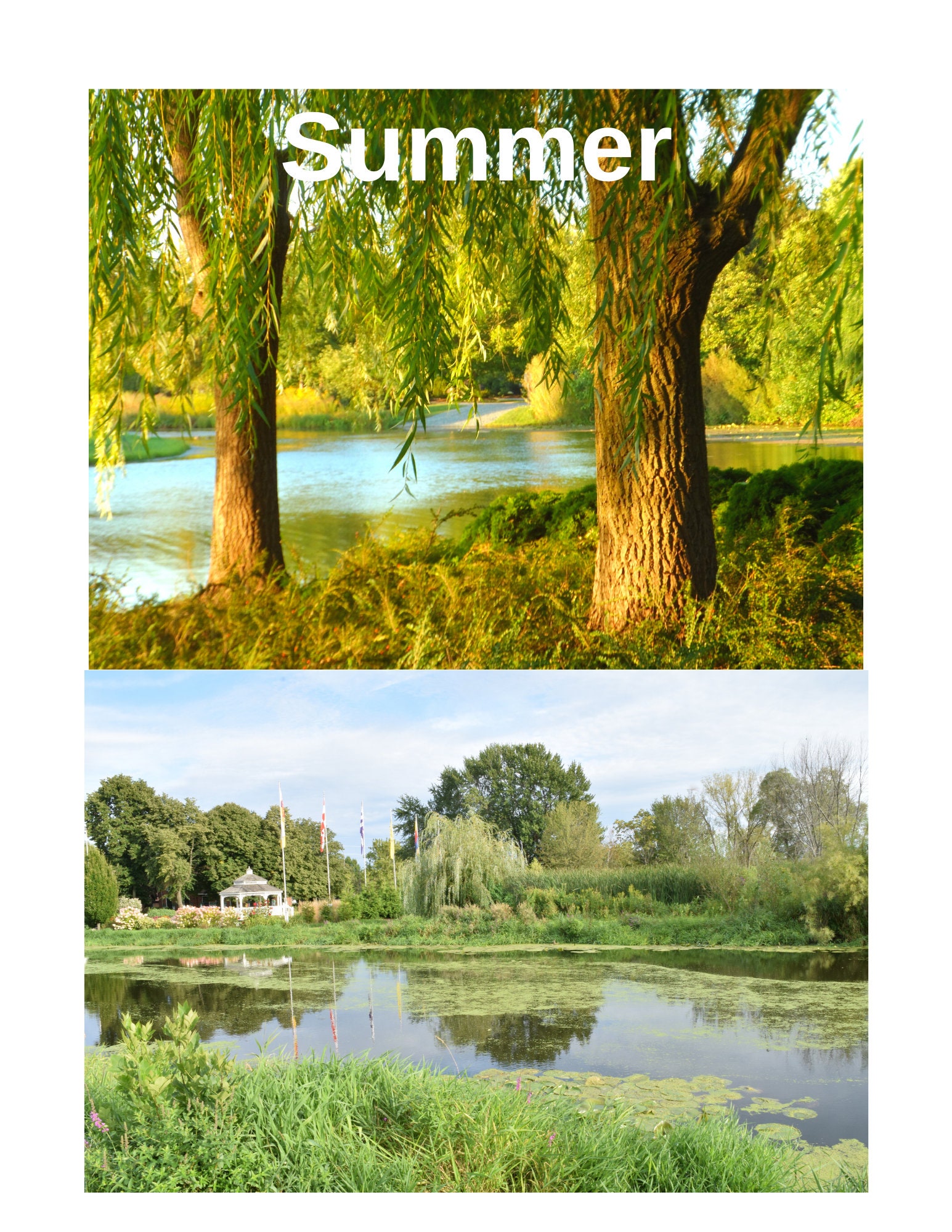 Nature Four Seasons Posters - Etsy