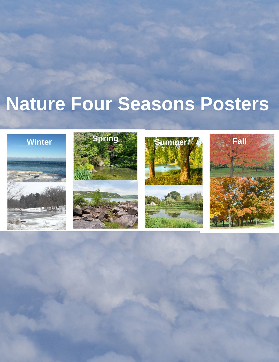 Nature Four Seasons Posters - Etsy