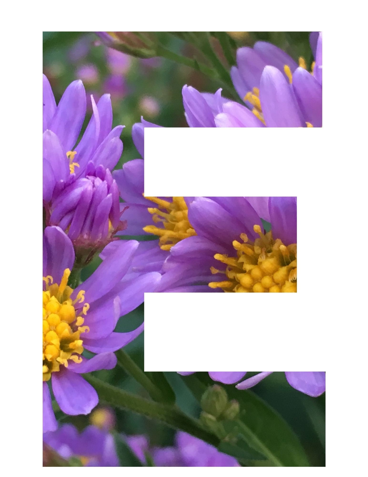 Nature Alphabet Letter Posters - Etsy