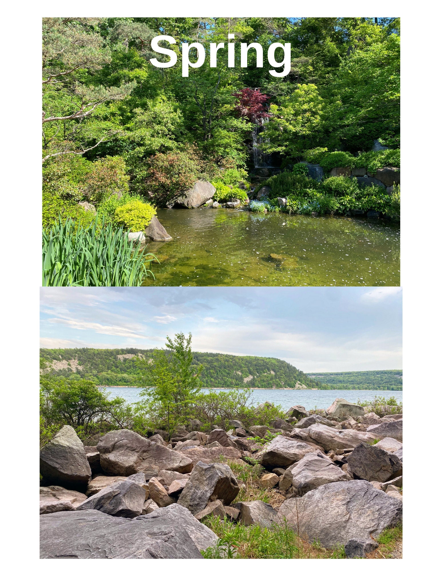 Nature Four Seasons Posters - Etsy