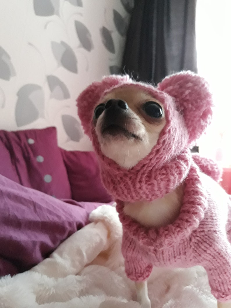 Dog Hat. Pink Dog Hat With Big Pom Poms.pet Hat - Etsy