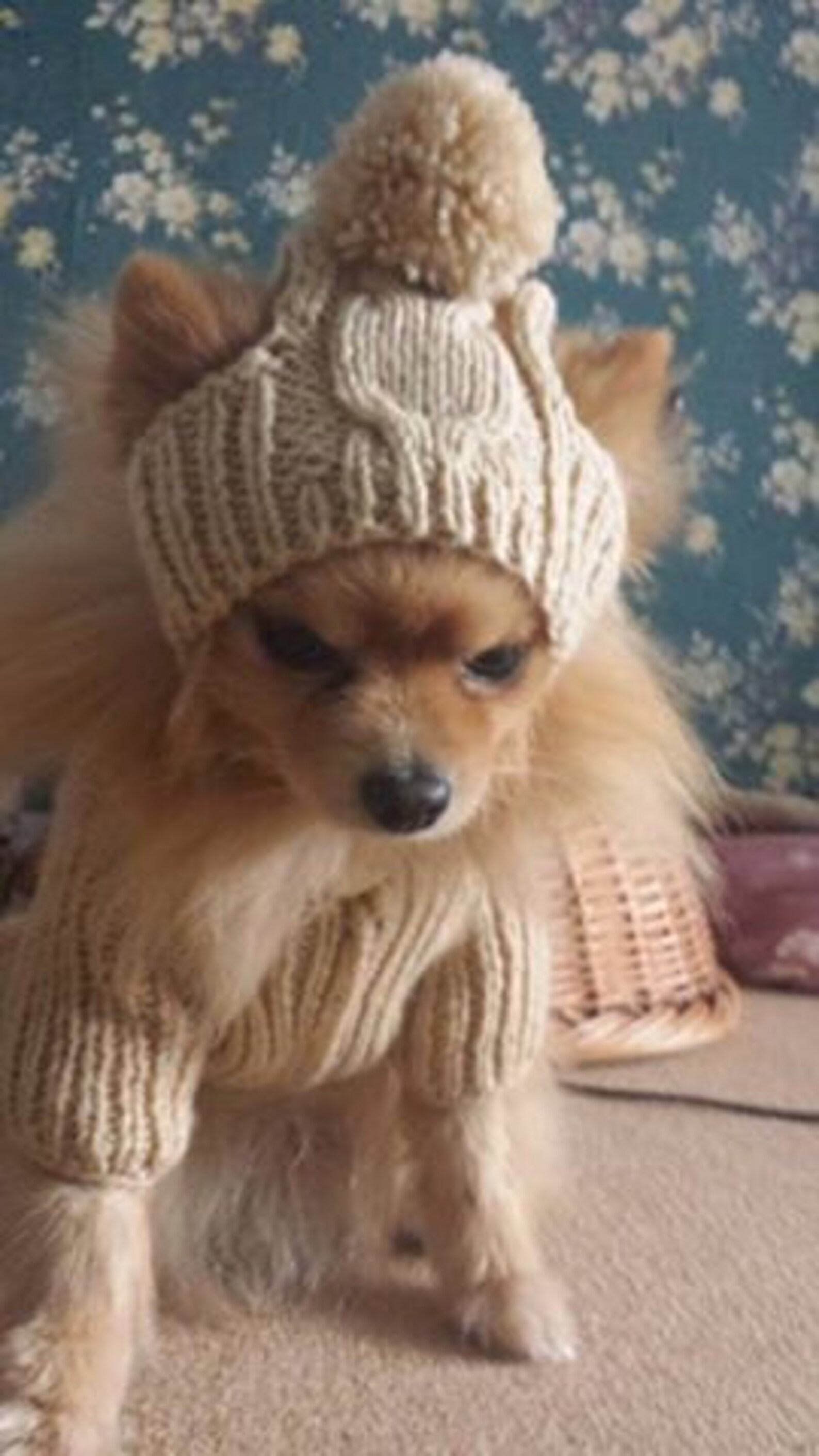 Dog Clothes.dog Sweater.dog Jumper,dog Costumes - Etsy
