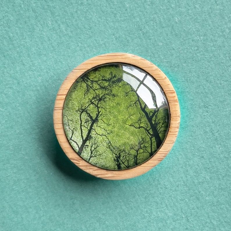 Gum Trees After Fire Nature Brooch With Bamboo Handmade in Tasmania ...
