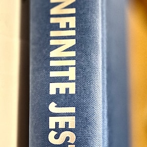 Infinite Jest by David Foster Wallace- English Literature American ...