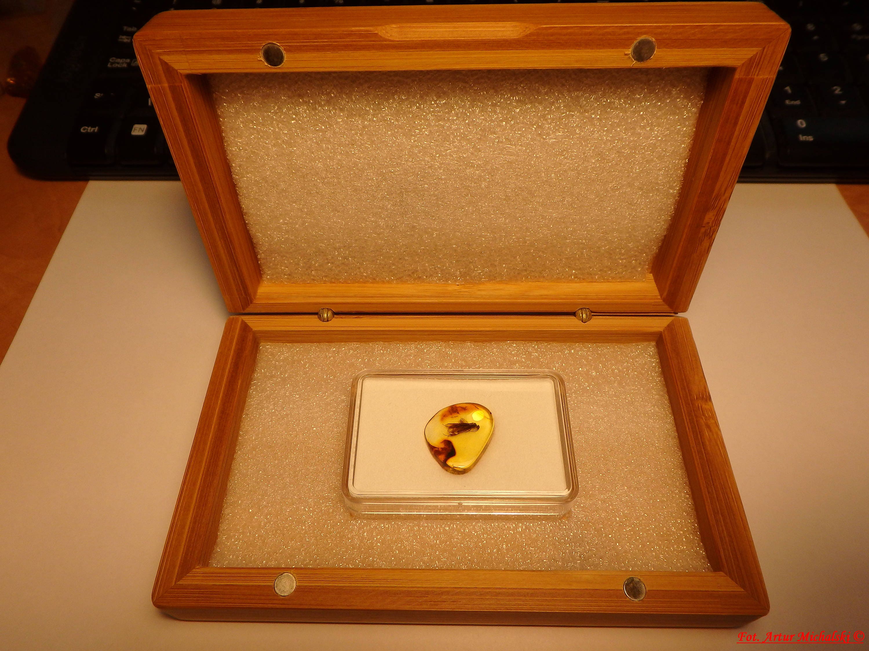 Baltic Amber Inclusion EXCLUSIVE BOX With E X C L U S I VE I N | Etsy