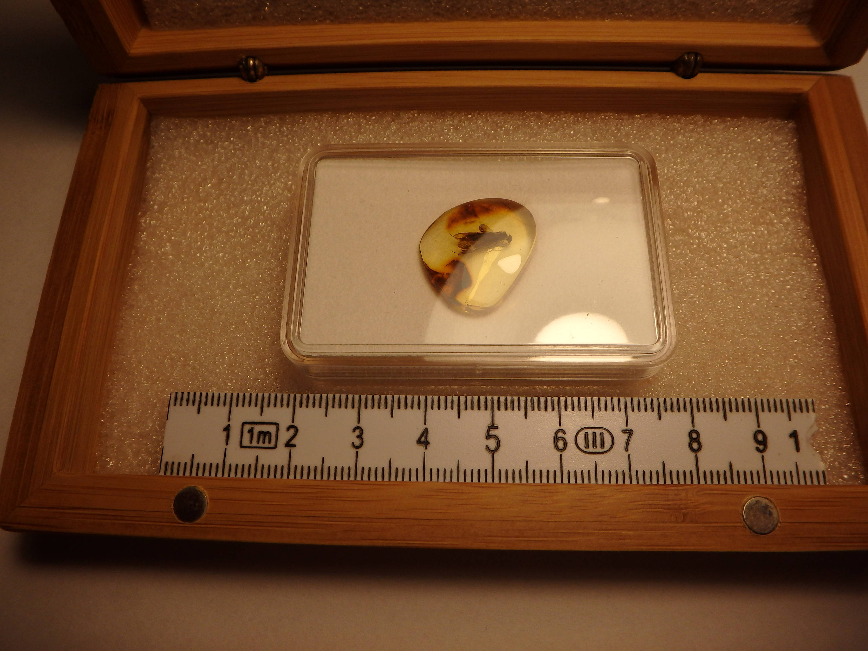 Baltic Amber Inclusion EXCLUSIVE BOX With E X C L U S I VE I N | Etsy