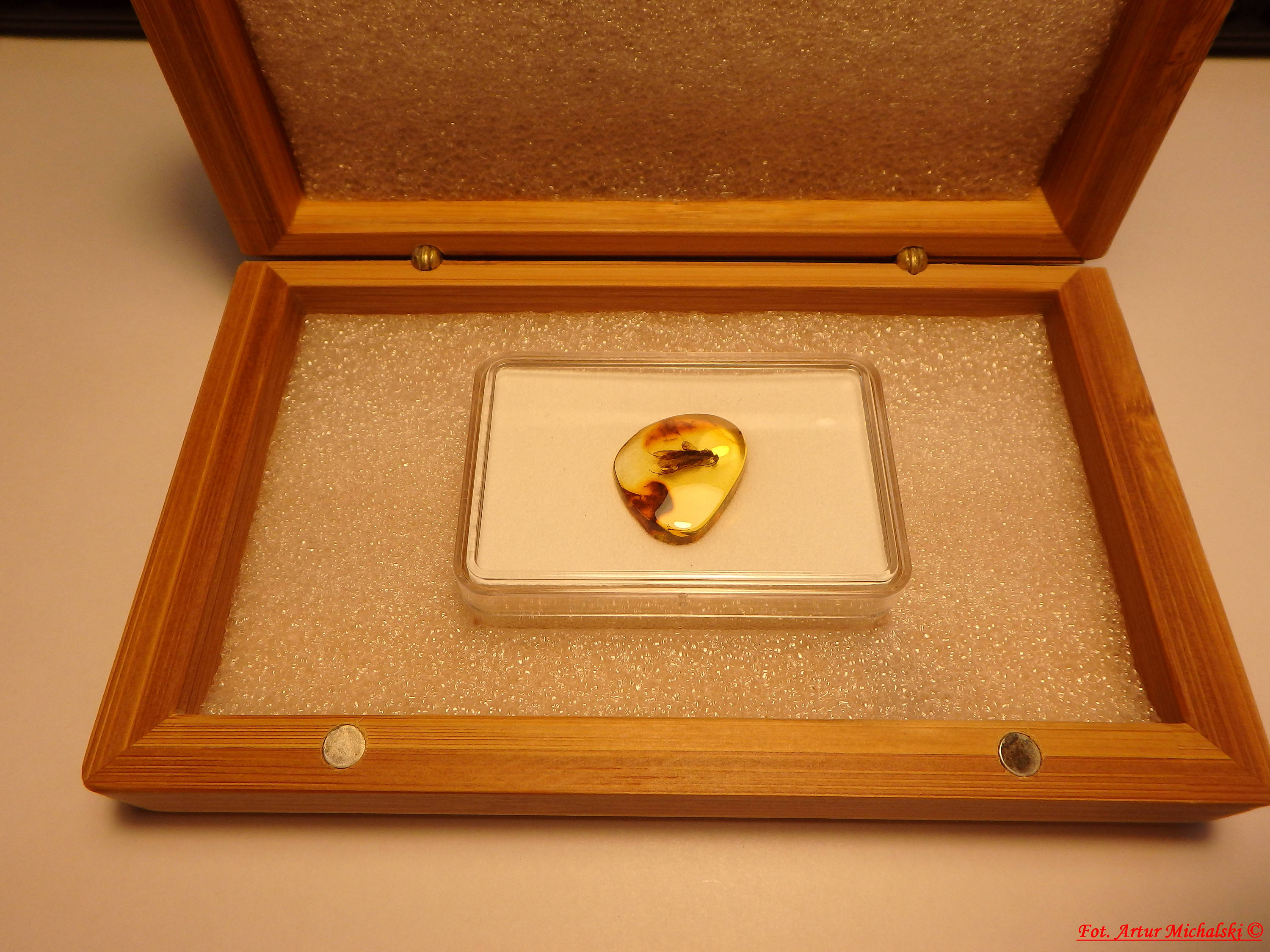 Baltic Amber Inclusion EXCLUSIVE BOX With E X C L U S I VE I N | Etsy