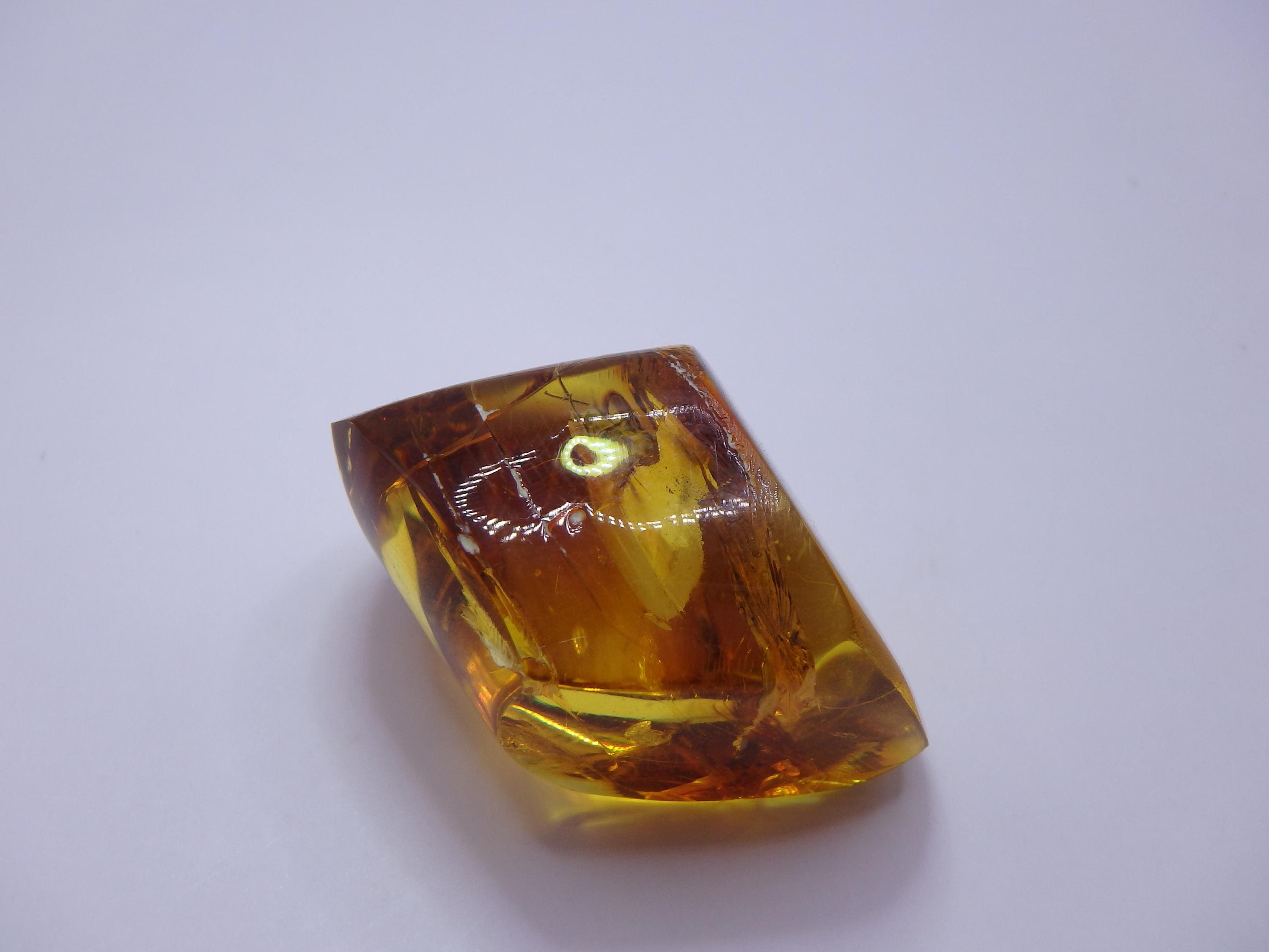 Baltic Amber Inclusion 9828 Rare Looking Fly in Large and Thick Amber 4 ...
