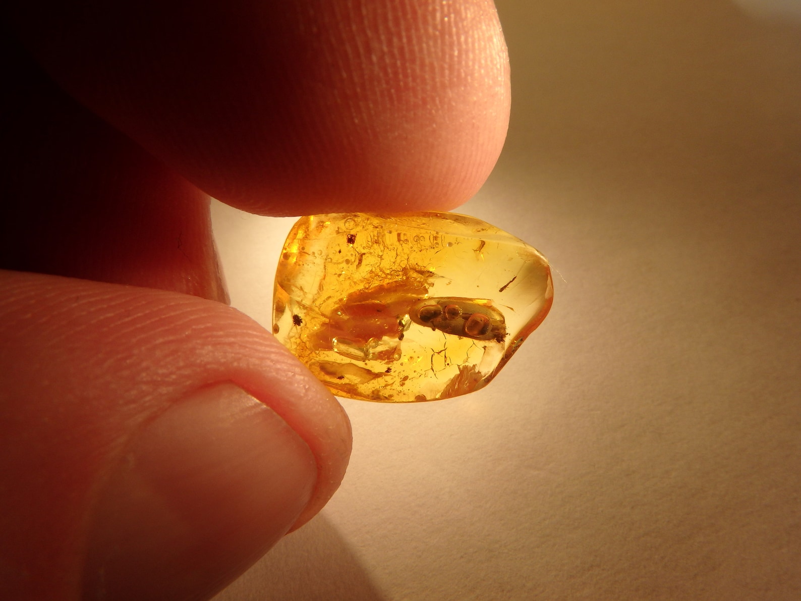 Baltic Amber Inclusion 4661 Large Click Beetle Elateridae. - Etsy