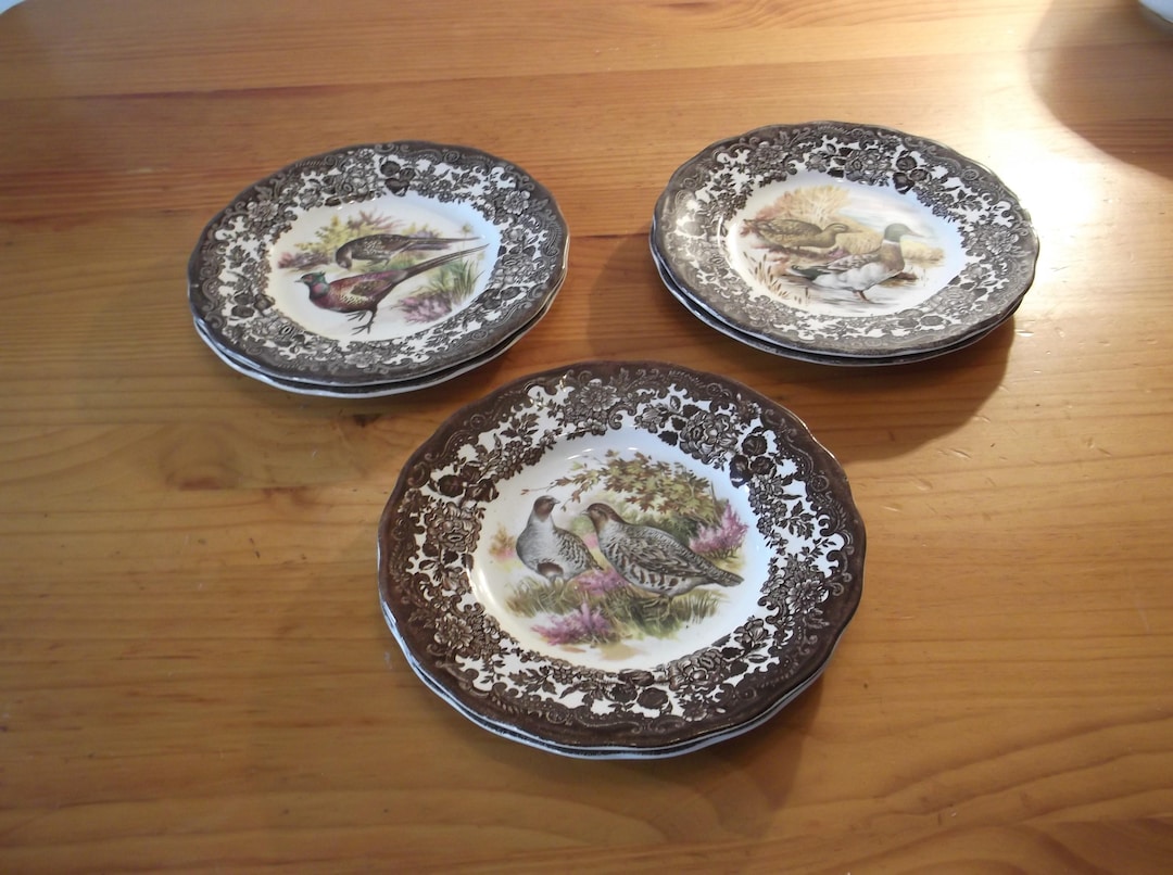 Royal Worcester Group, Palissy, Game Series (birds) 7" - 18 Cm Plate - Etsy