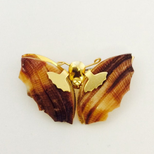 Seashell Butterfly - Etsy