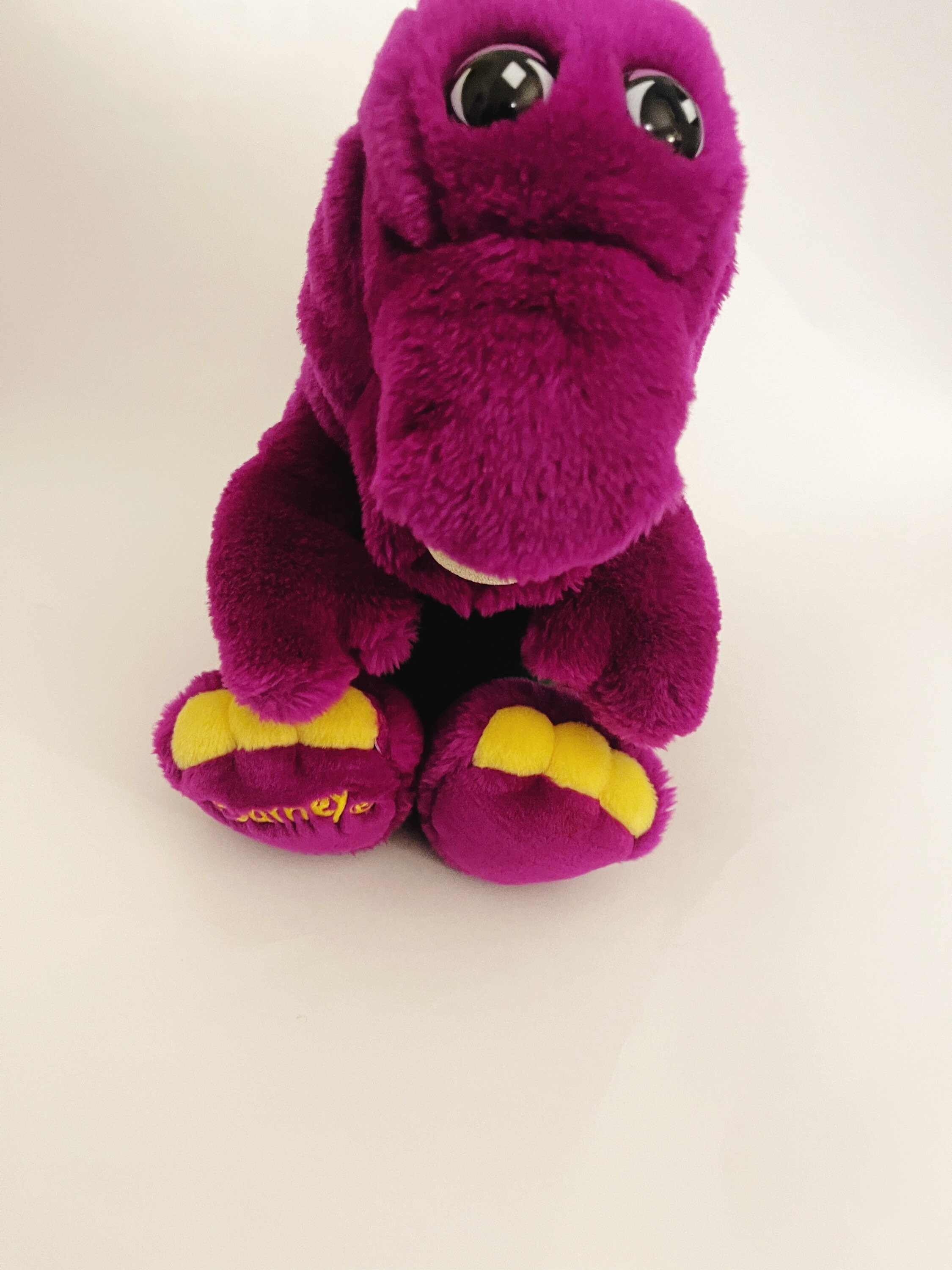 Barney Puppet For Sale at Troy Jenkins blog