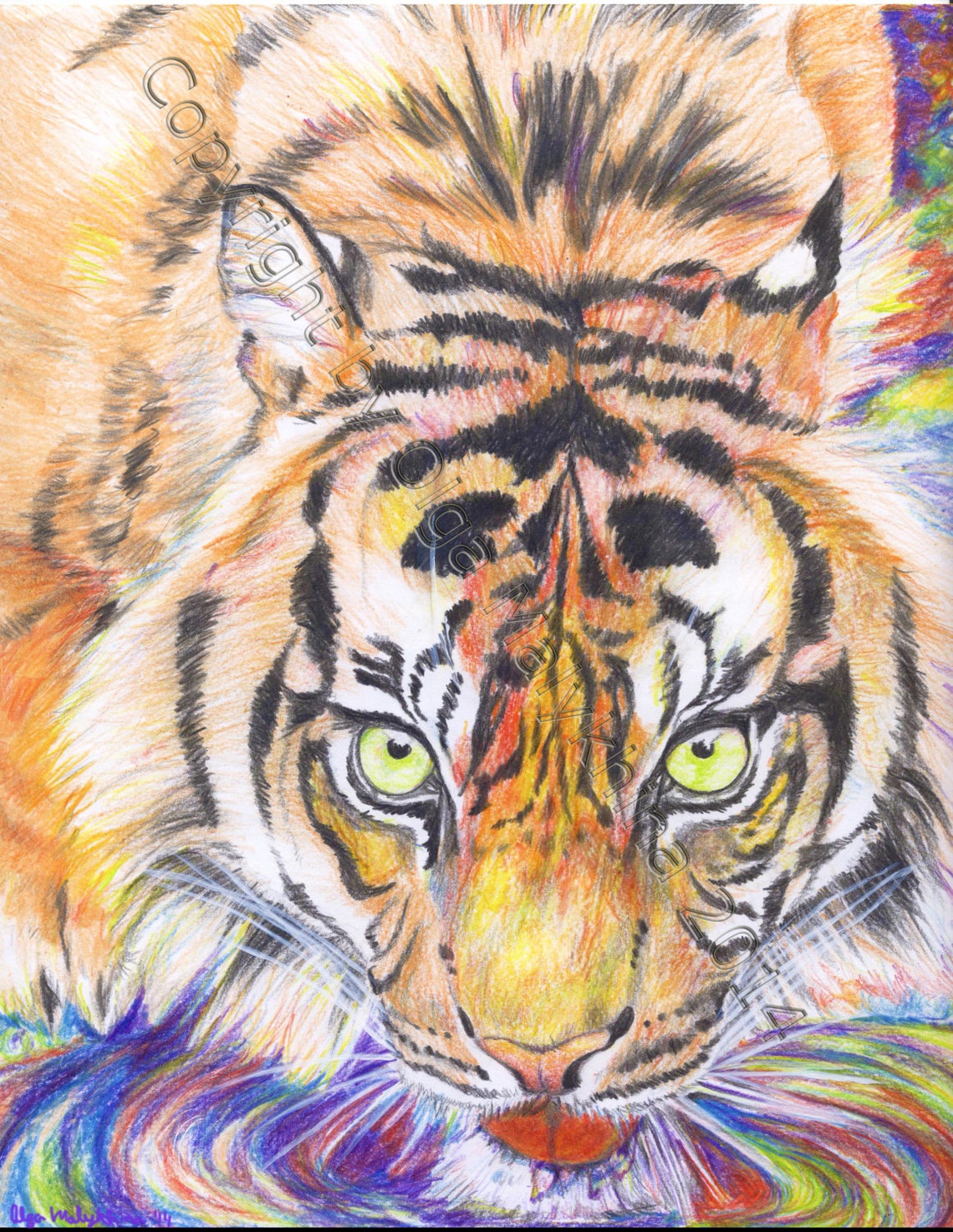 Psychedelic Tiger in Colored Pencils Drawing - Etsy