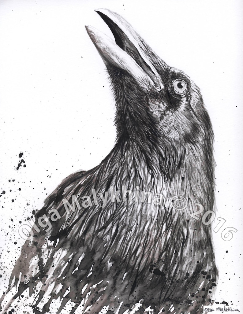 Rabe Krähe Aquarellzeichnung digitalen Download - Etsy.de