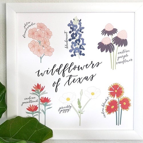 Watercolor Wildflowers Art Print Set of 3 Texas Floral - Etsy