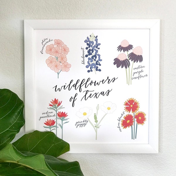 Texas Wildflower Print - Etsy