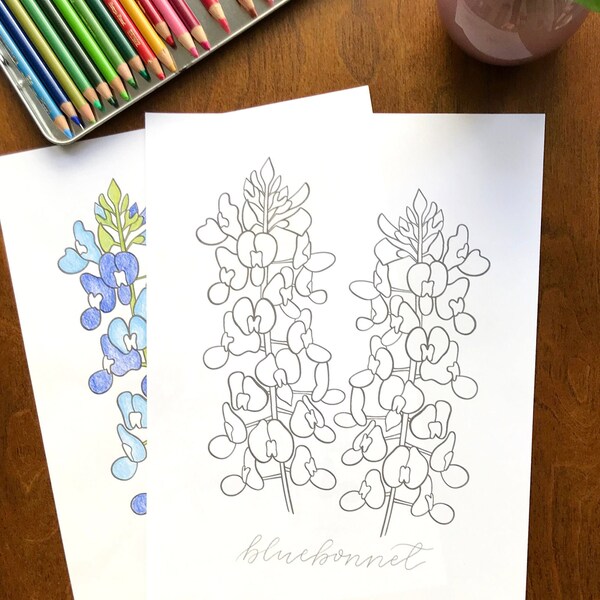Bluebonnet Printable - Etsy