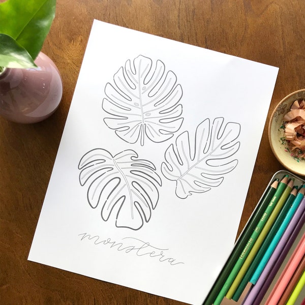 Monstera Coloring Page - Etsy