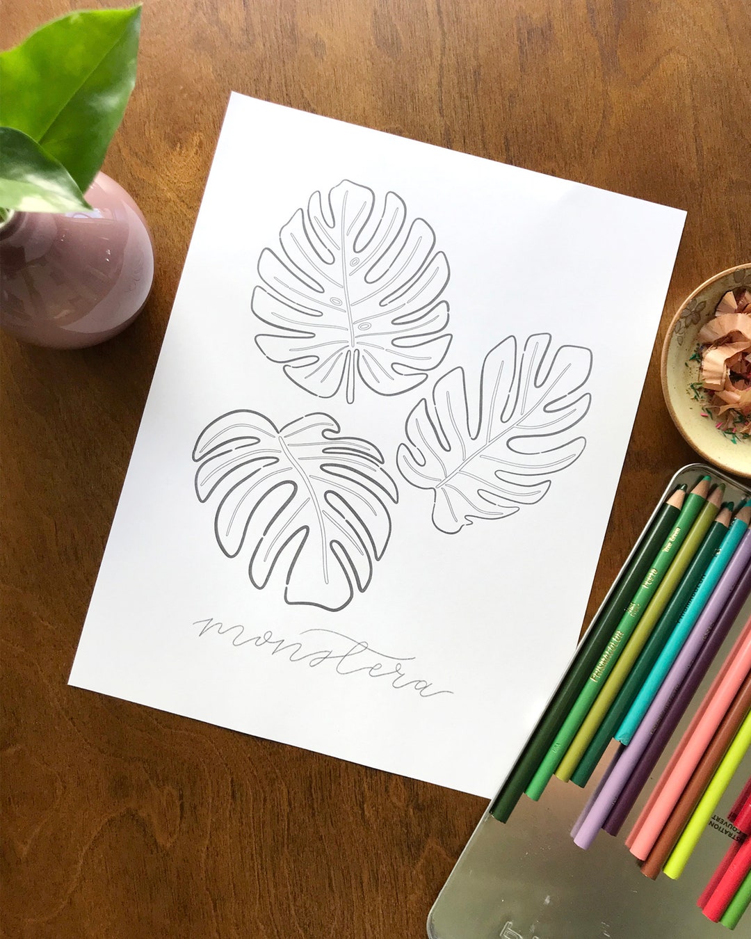Monstera Leaf Coloring Page, Fun Modern Monstera Leaf Drawing, Fun Easy ...