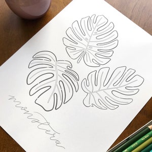 Monstera Leaf Coloring Page, Fun Modern Monstera Leaf Drawing, Fun Easy ...