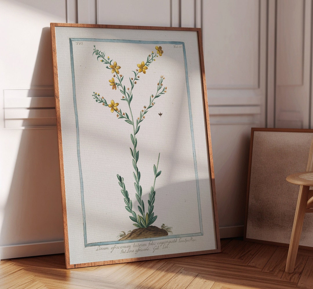 African Flax | Botanical Print | Vintage Art | Digital Wall Art ...