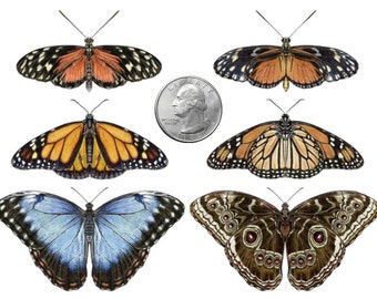 Fake butterflies | Etsy