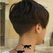 TEMPORARY TATTOO - 4 Cats Walking on My Nape / Cat Temporary Tattoo ...