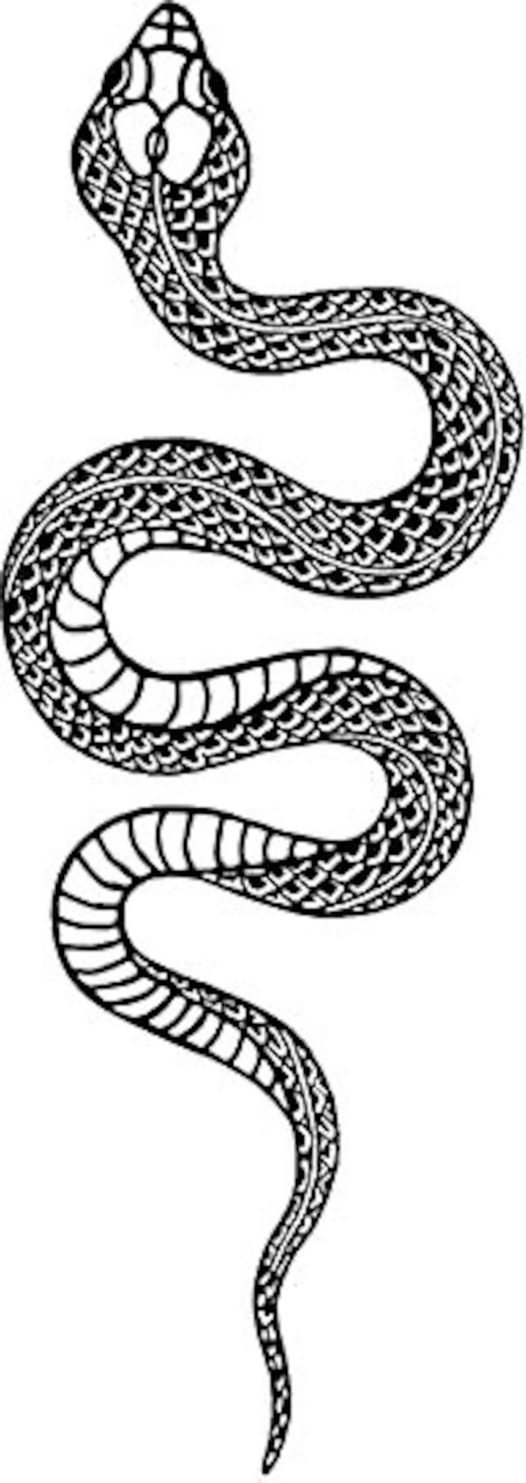 TEMPORARY TATTOO - 5.75" X 2" Snake Tattoo - Etsy