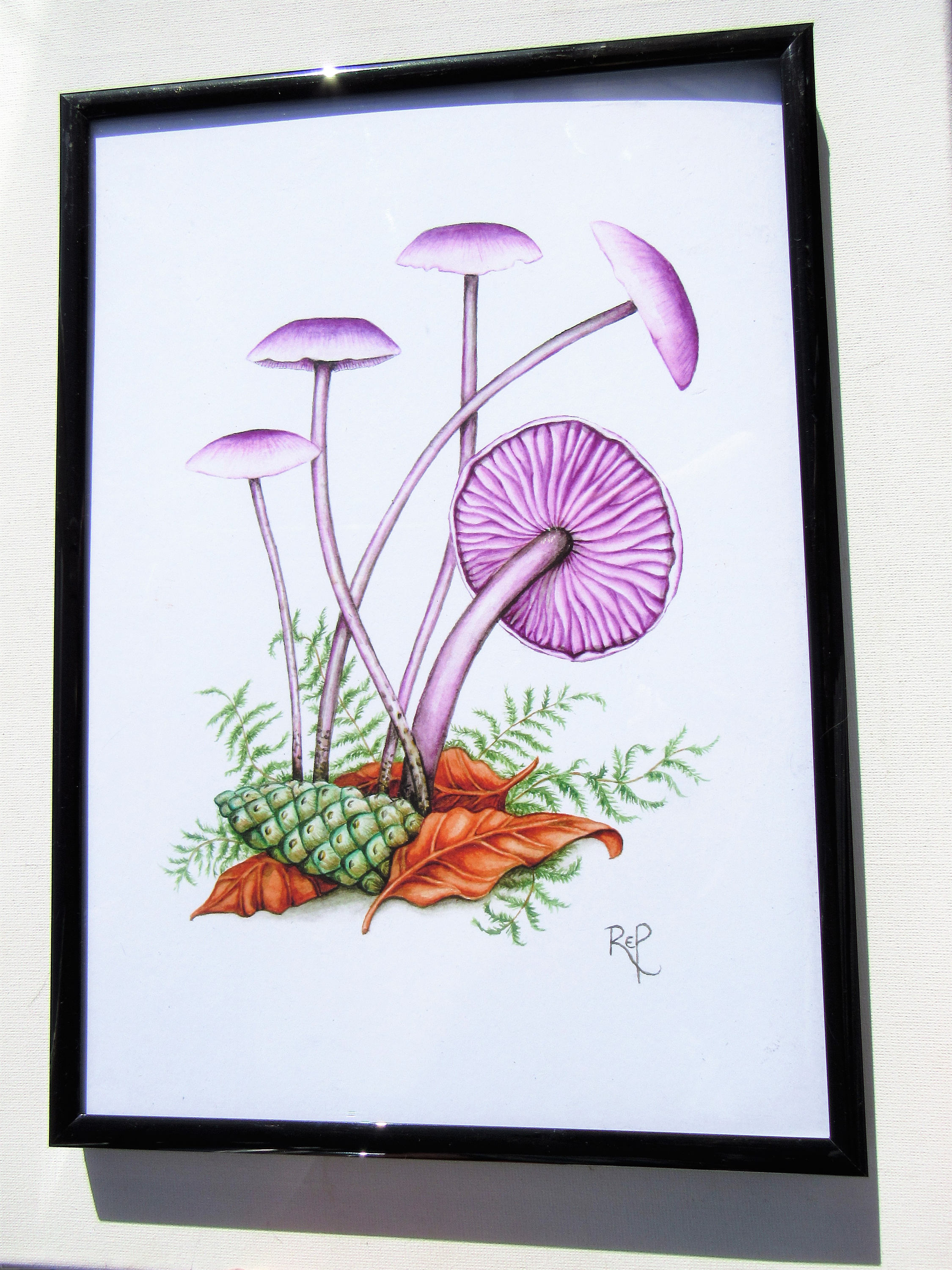 Purple Mushroom Amethyst Deceiver Art Print Limited edition | Etsy