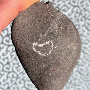 Love Heart Sea Pebble / This Unique Small Grey and White Beach Pebble ...