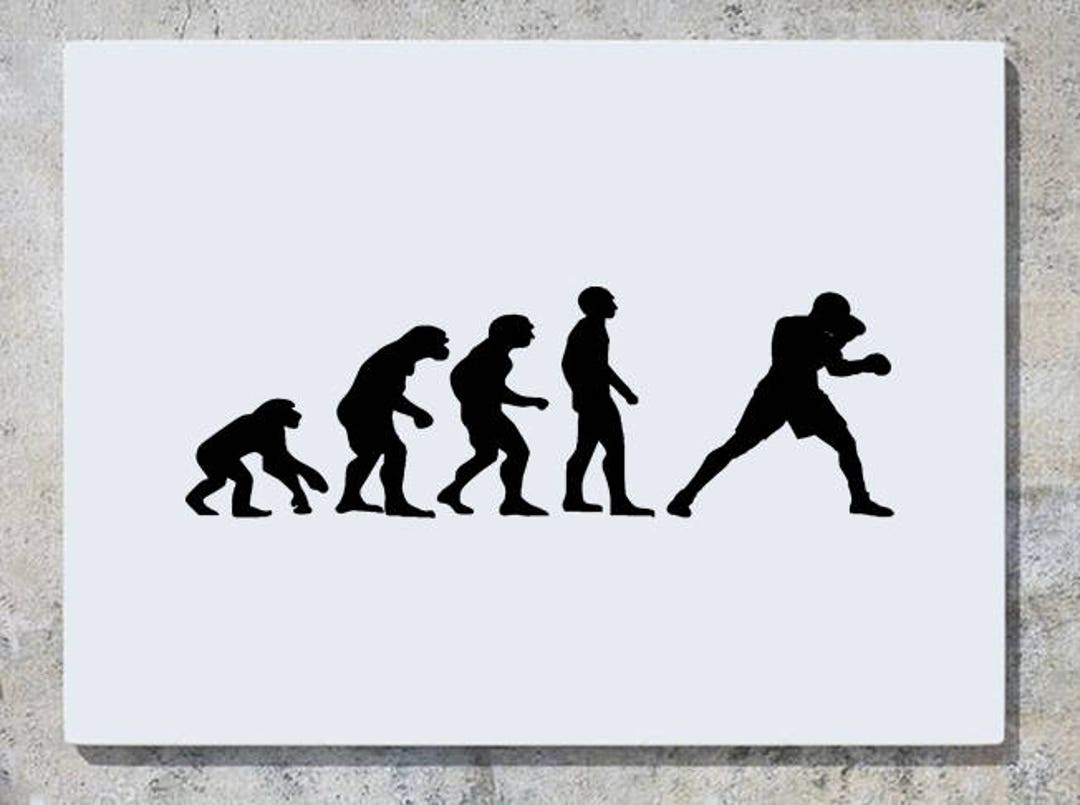Evolution Boxer Boxing Fighting Sport Bedroom Wall Art Sticker Picture ...