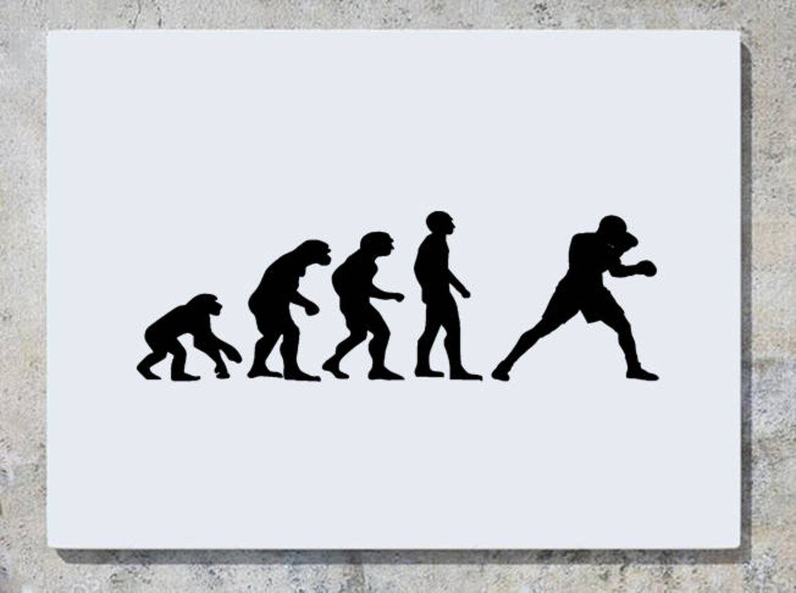 Evolution Boxer Boxing Fighting Sport Bedroom Wall Art Sticker | Etsy