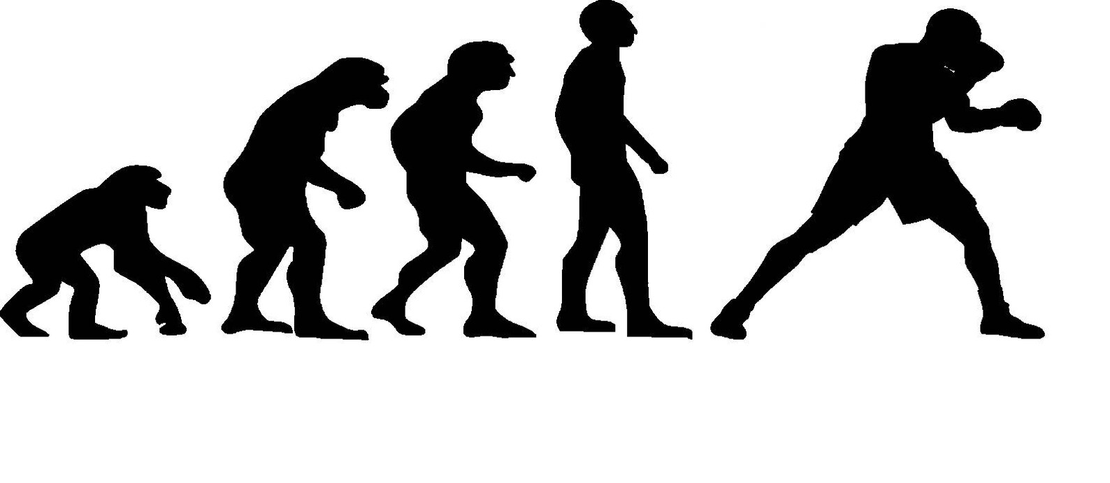 Evolution Boxer Boxing Fighting Sport Bedroom Wall Art Sticker | Etsy