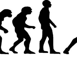 Evolution Boxer Boxing Fighting Sport Bedroom Wall Art Sticker Picture ...