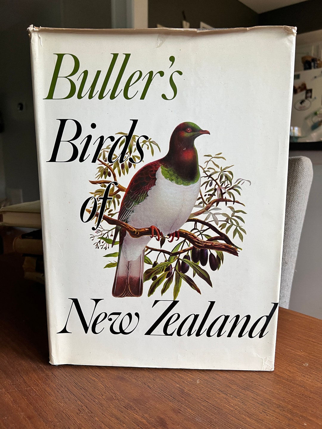Buller’s Birds of New Zealand Art Book Vintage 1967 Edition - Zoology ...