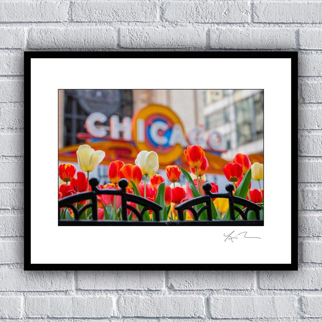 Chicago Theater With Tulips Photographic or Metal Print Chicago Photo ...