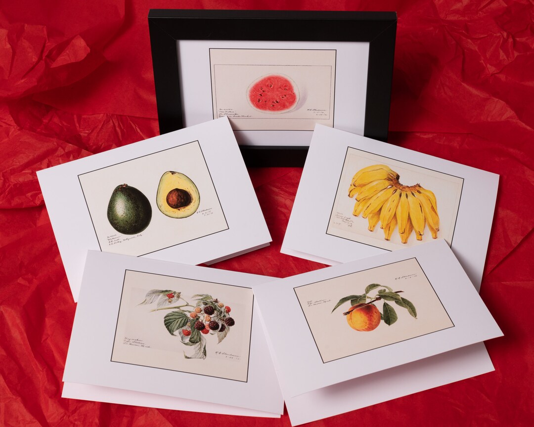 Pomology Fruit Framable Cards 10-pack -colorful Gift Kitchen Decor 5x7 ...