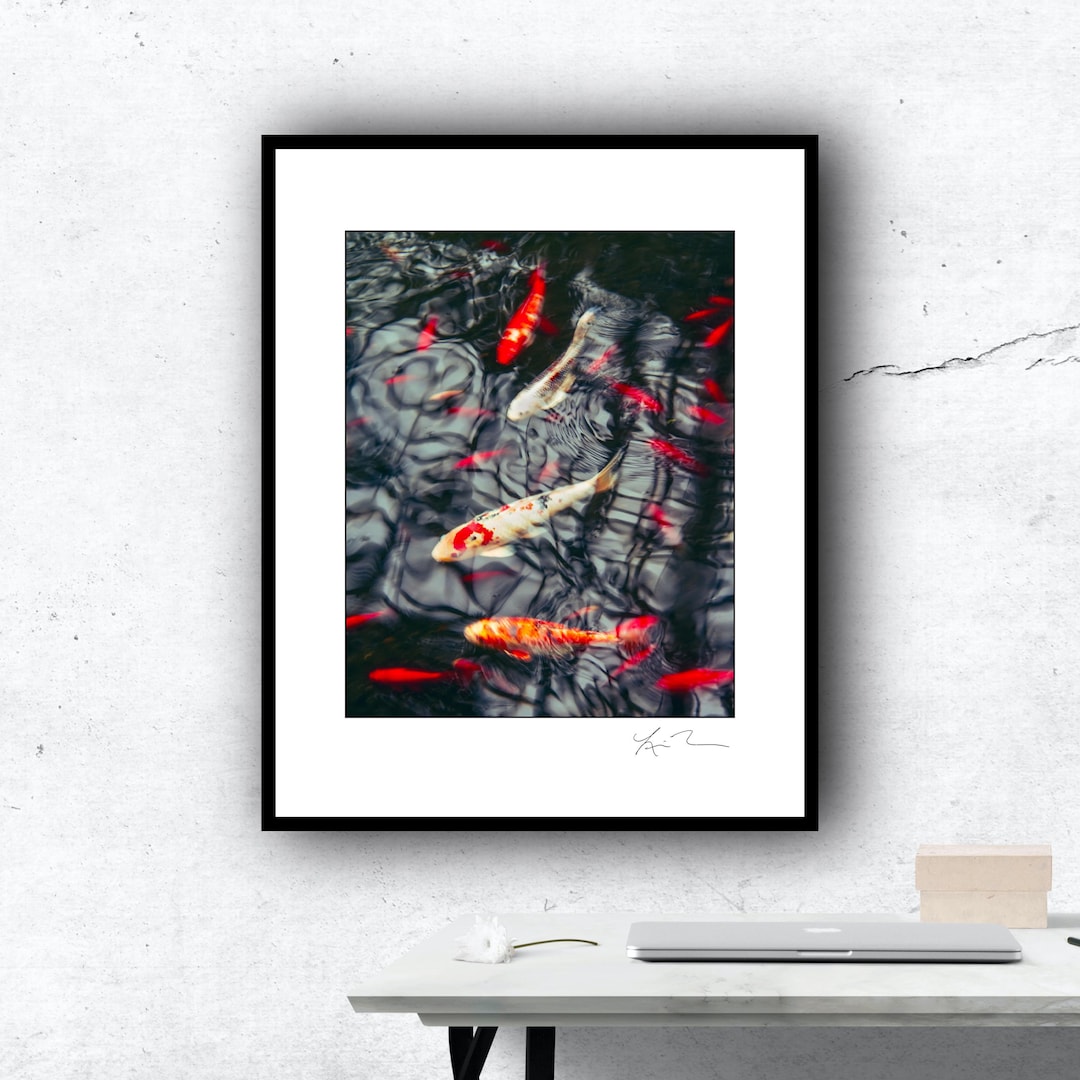 Koi Pond Abstract- Unframed Photo Fish Swimming Pond Photography Art ...